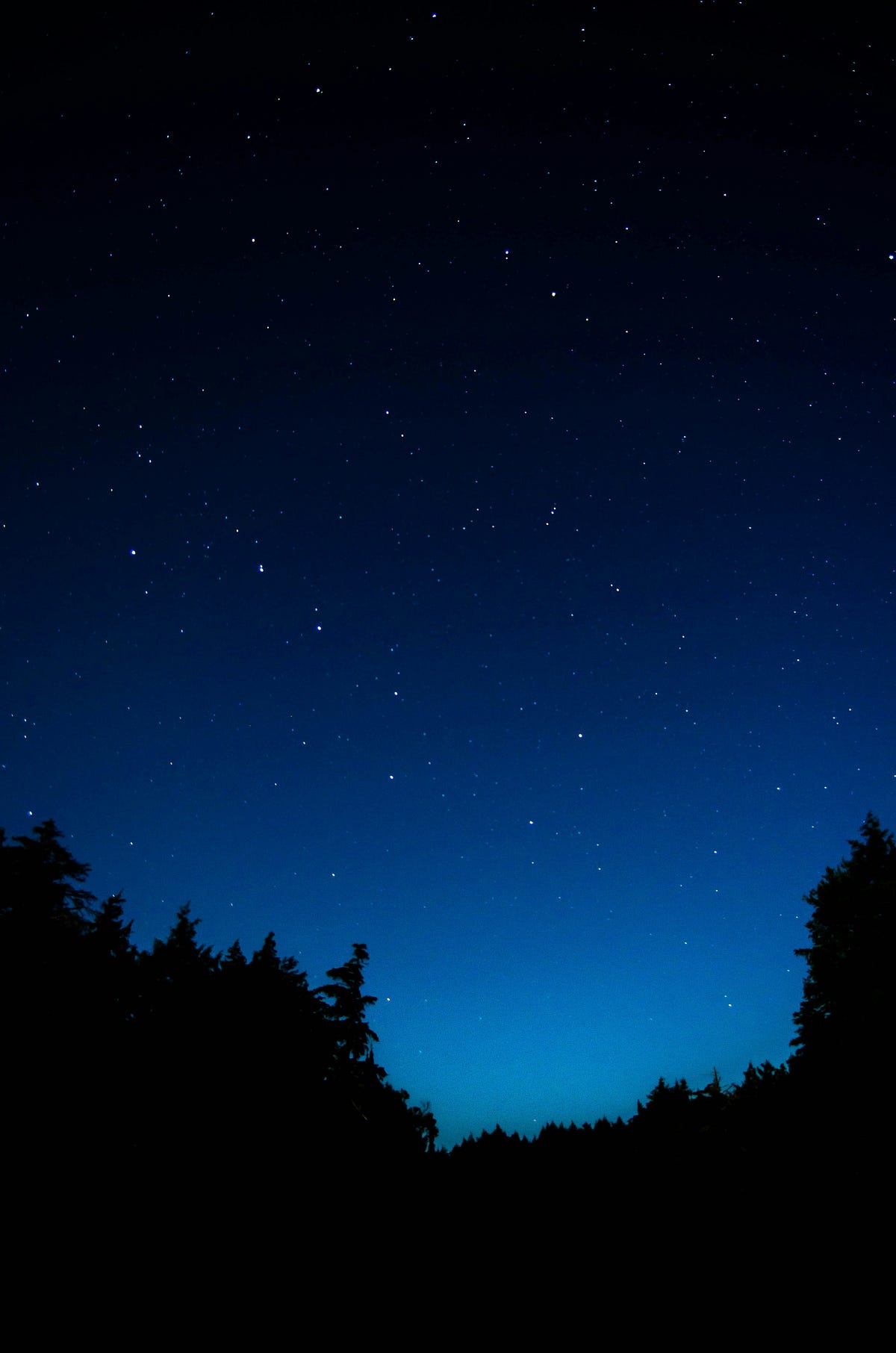 Five Stars in the Sky. Five stars in the velvet sky, Each one… | by Warda Mughal | Medium