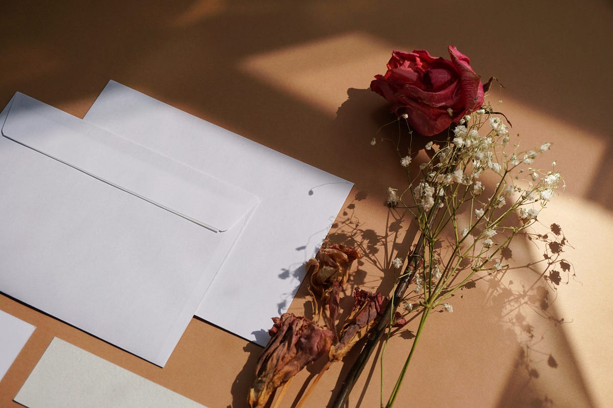 Between Realms and Roses: My First Words to You | by Lilac_scribbles ...