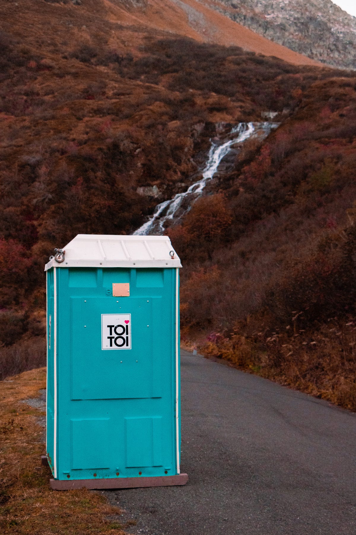Six Ways to Keep Your Holiday Spirits Out of the Sh$&!er | by Doris ...