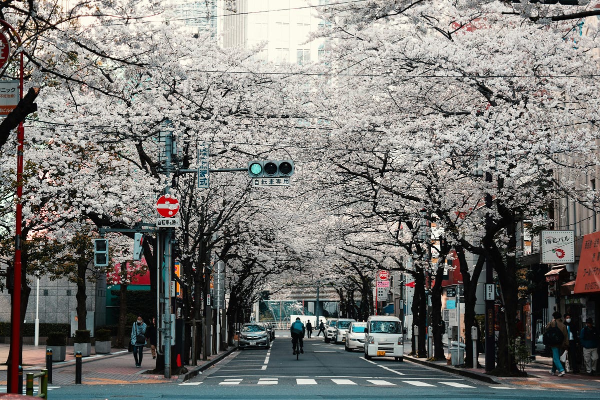 6 Beautiful Alternative Names for Sakura | by Justsomethingg | Japonica ...