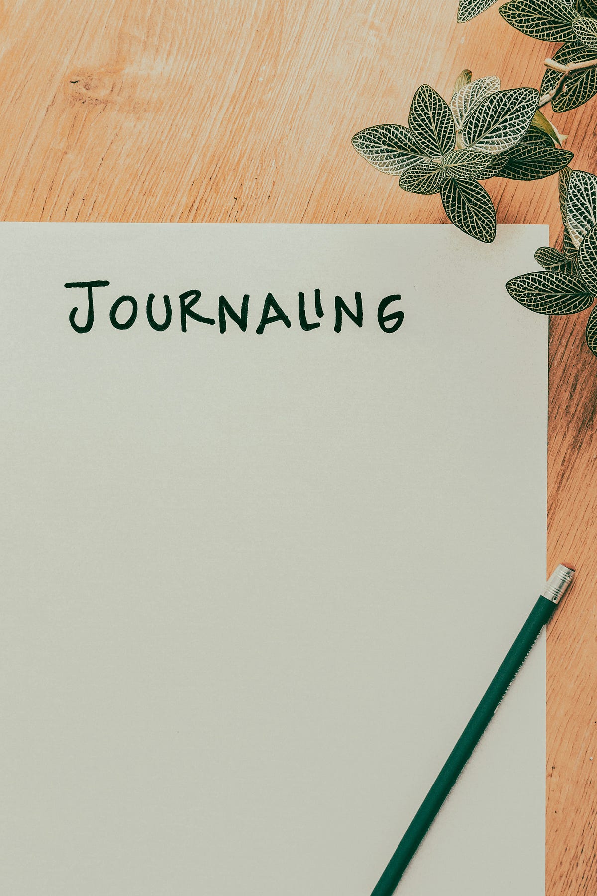 How Can Journaling Help You Stay Still | by Archana | Readers Club ...