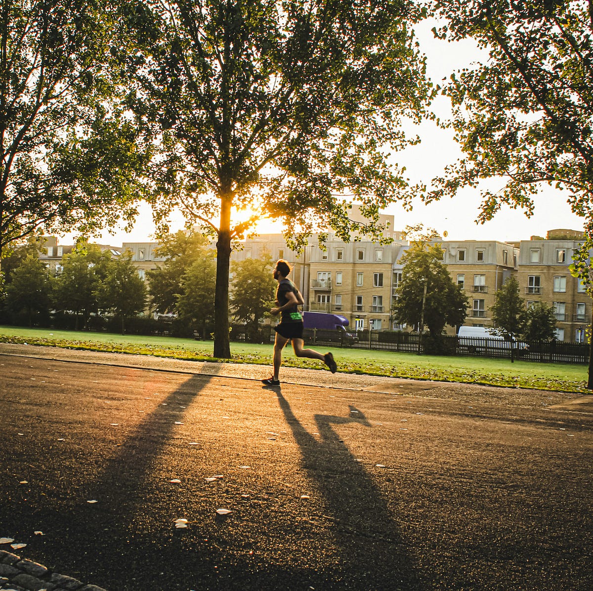 How Morning Habits Affect Daily Productivity Score | Case Study with ...