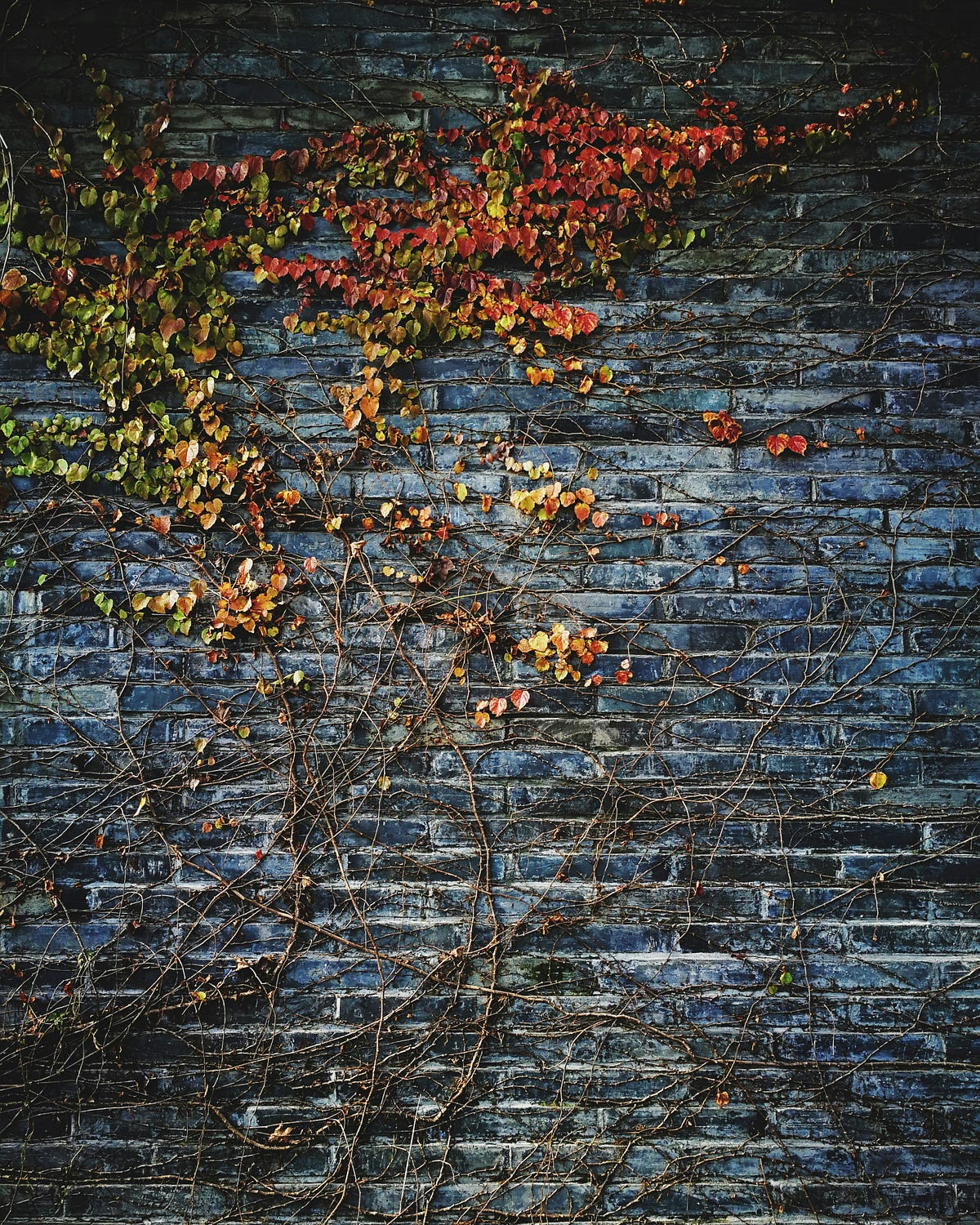 Scaling the Wall. 2nd Saturday Prompt: childhood memory | by Paroma Sen ...
