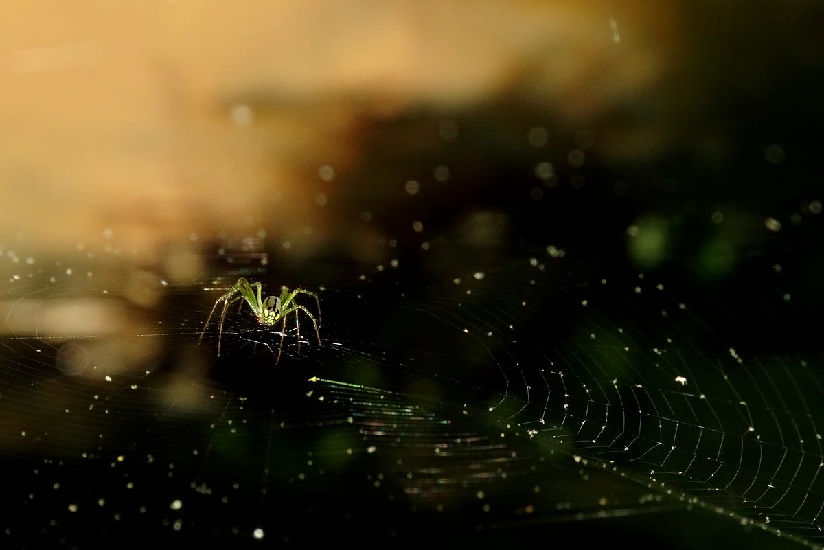 Easy Way building Web Crawlers using Laravel | by Cerwyn Cahyono | Geek ...