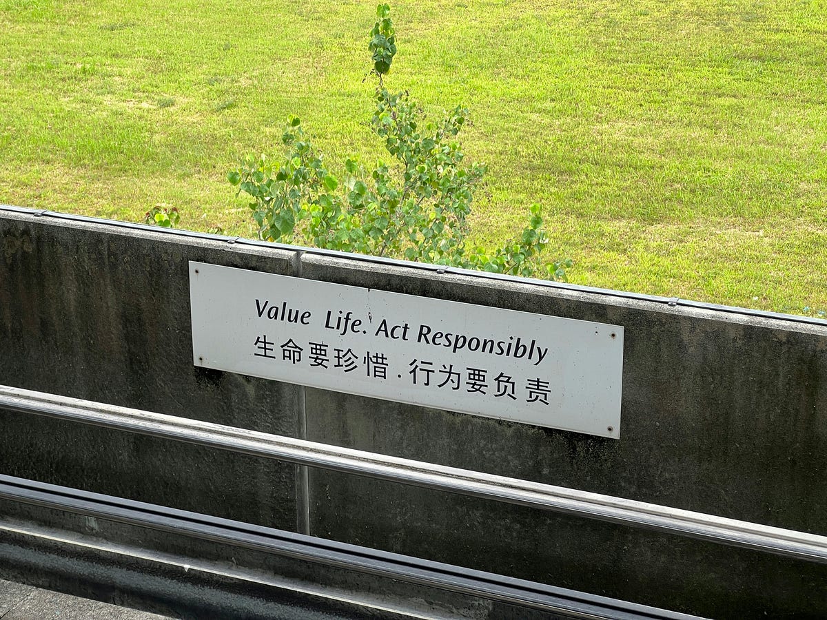 Happiness or Meaning?. The happiness will fade, but what you… | by Pius Kimathi | Medium