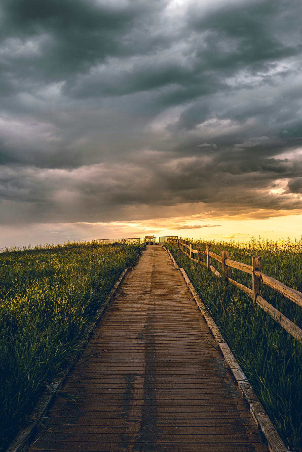 How General Sanitation Nearly Cost Me My Own Wedding | by Victor Ude | The Memoirist | Sep, 2025 ...