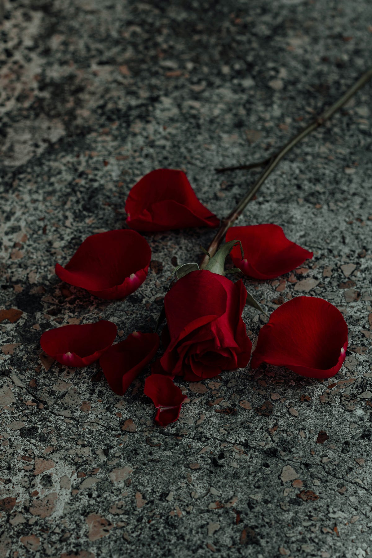 The Unsung Pillars of Islam – Day Eighteen: Umm Waraqah (RA) The Woman Who Was Promised ...