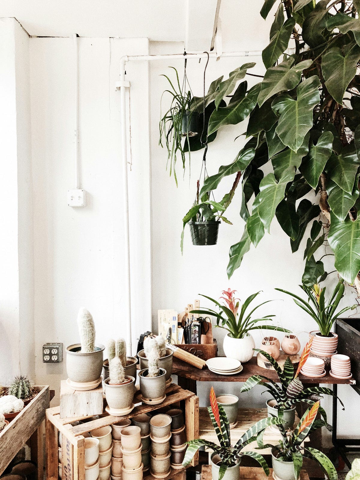 A Short Note To Etsy Seller. a small secret from Etsy seller | by Greece Aberdeen | Jan, 2024 ...