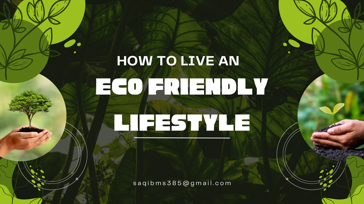 Embracing Eco-Friendly Living: Simple Hacks for a Sustainable Lifestyle ...