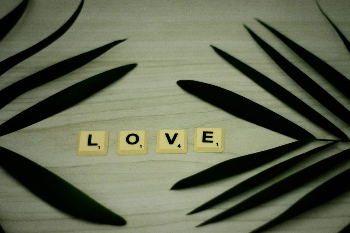 Love Hunting Is Quiet and Adventurous | by Jessica Isaac | bloody sweet ...