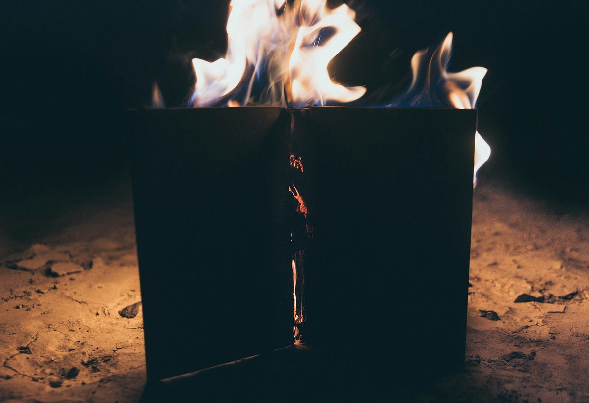 Burn My Poetry. A poem | by Taylor D. Levesque | The Lark | Nov, 2024 ...
