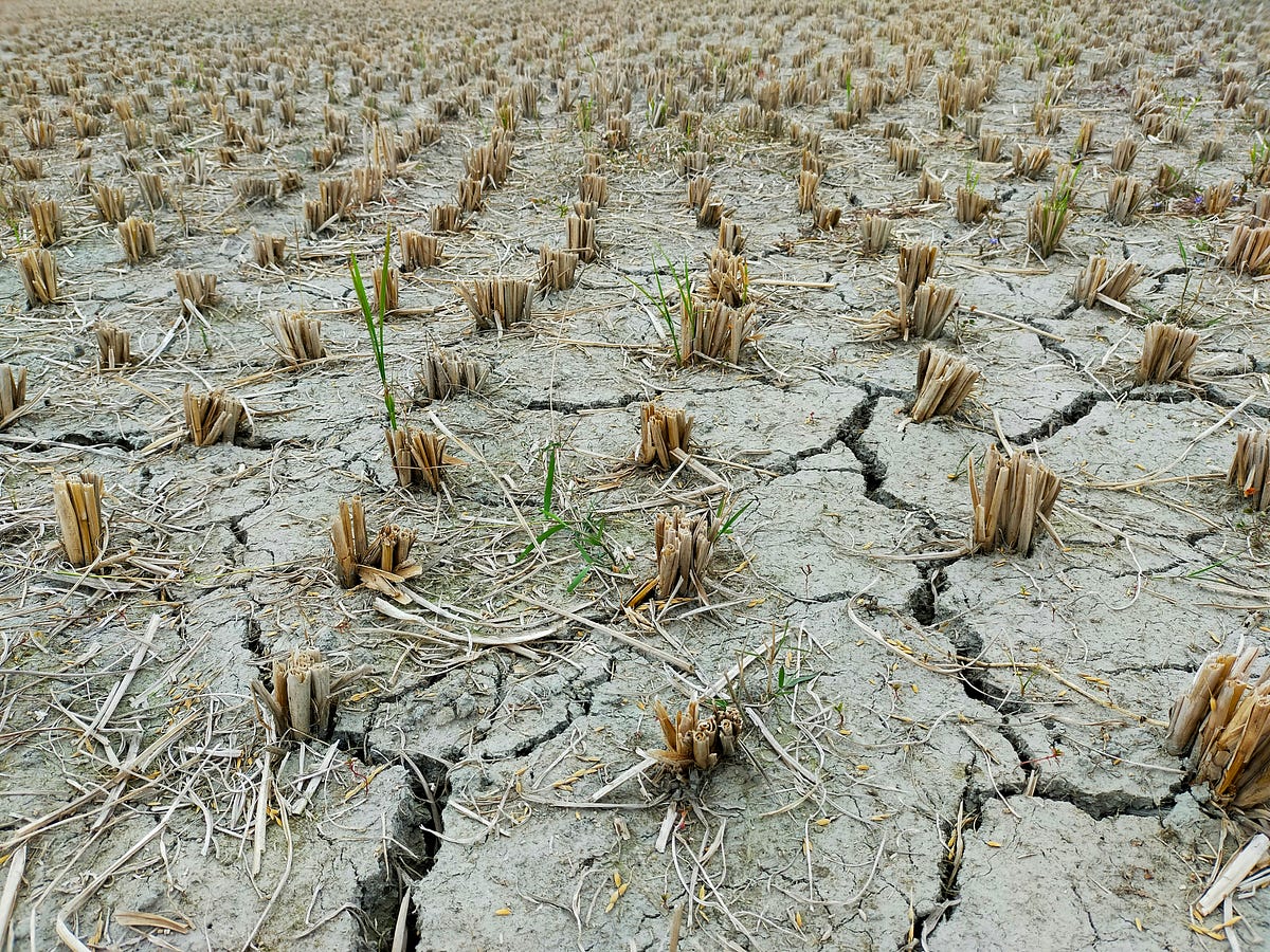 Life Without Showers — The 34-Day Test of Endurance and Acceptance | by ...