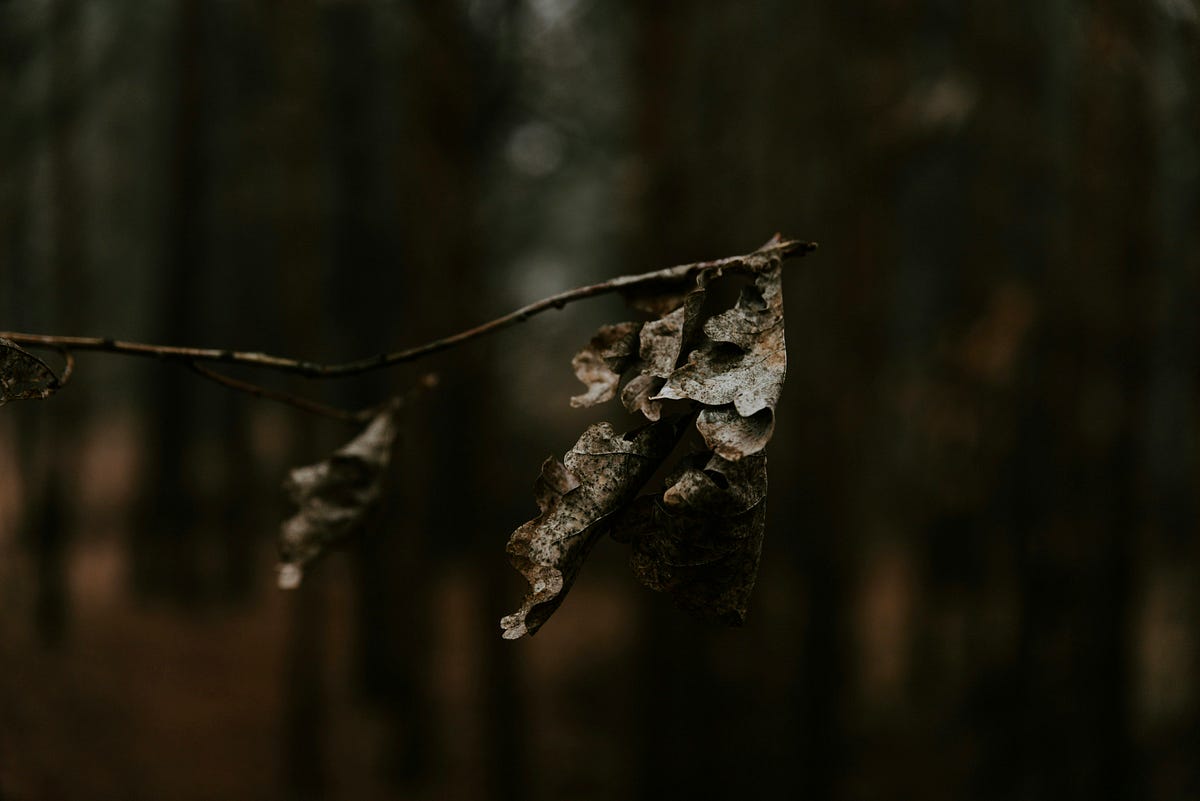 Haunting Whispers. You were there the night I was born… | by Amara Buana | Dec, 2024 | Medium