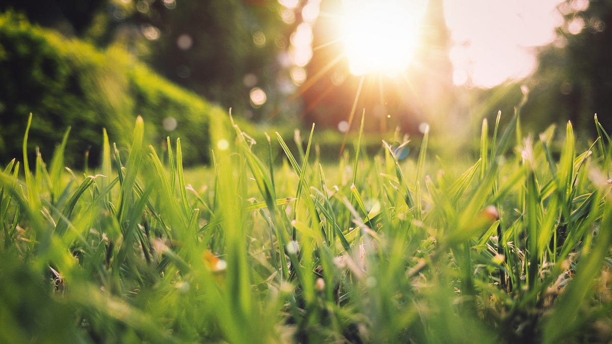 Websocket Application With Spring Boot And Angular [part — 3 Angular Websocket Client] By