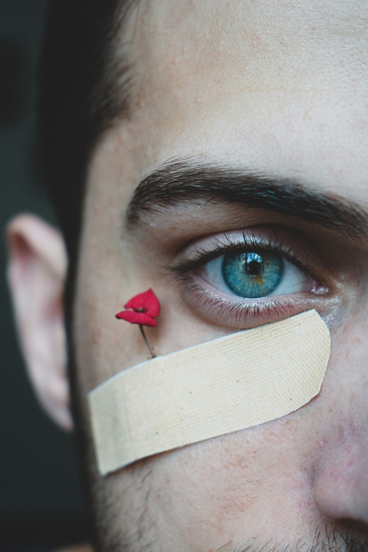 Your Pimple-Popping Love. Forgive me for this blemish of a love… | by ...