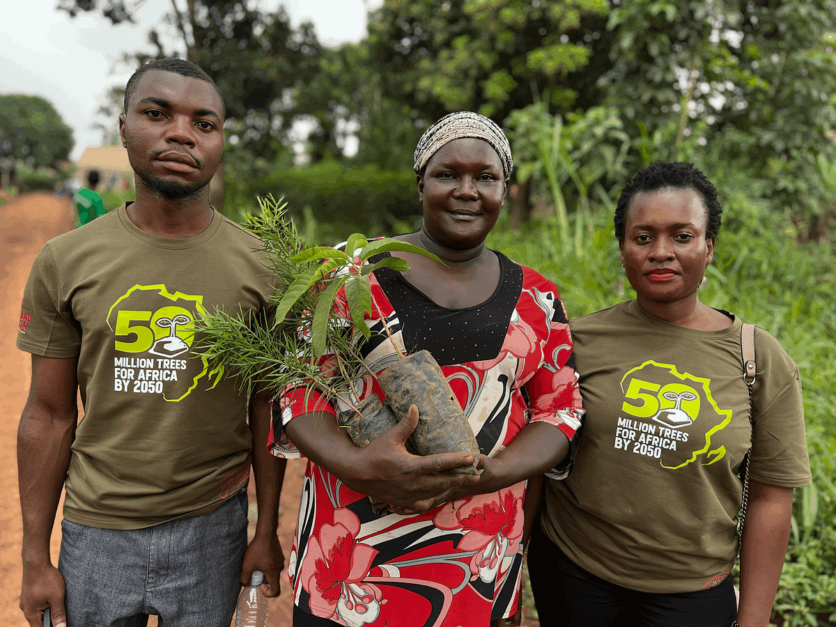 50 Million Trees for schools across Africa is Judith Heard’s new year ...