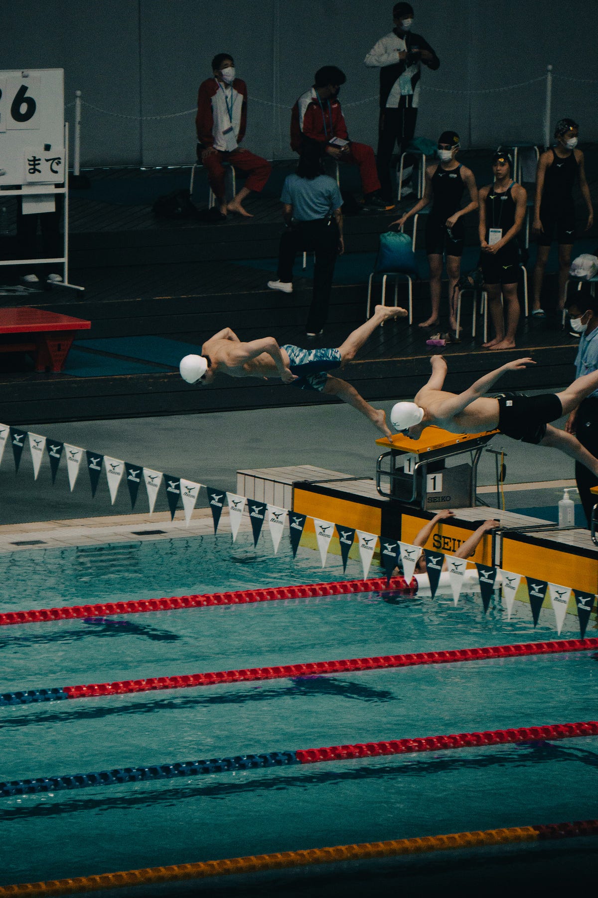 The World of Diving Sports: A Dive into Skill, Precision, and Beauty ...