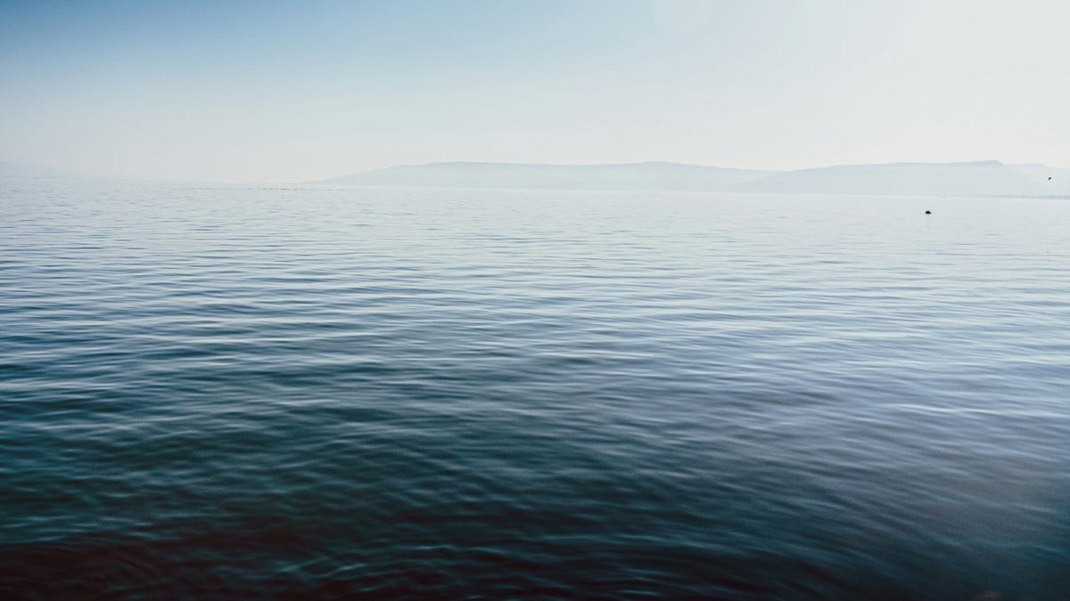 Mindfulness in the Everyday: Why Mini Miracles Matter More Than You ...