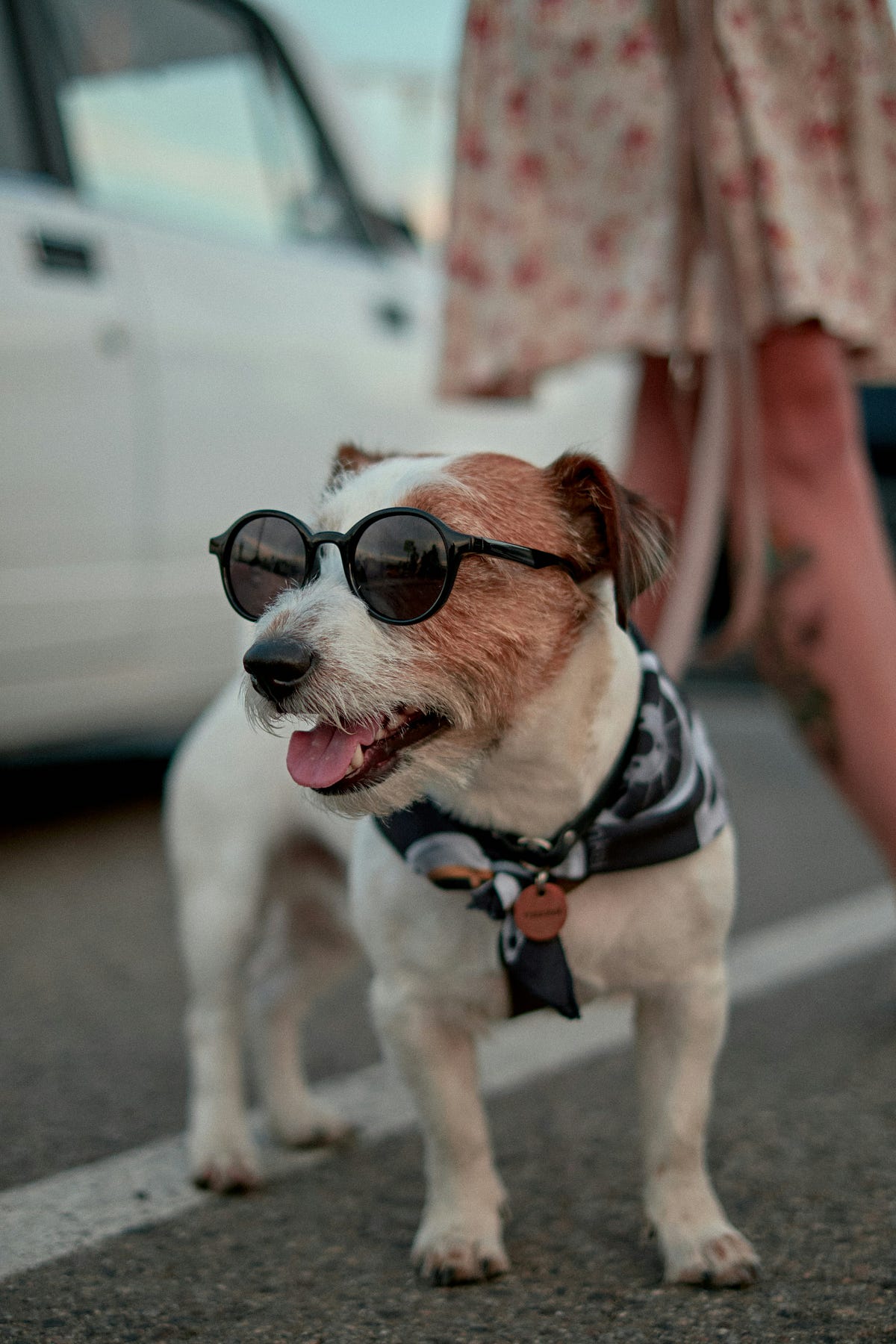Being Spontaneous Leads to More Memorable Moments | by Mia Bermudez ...
