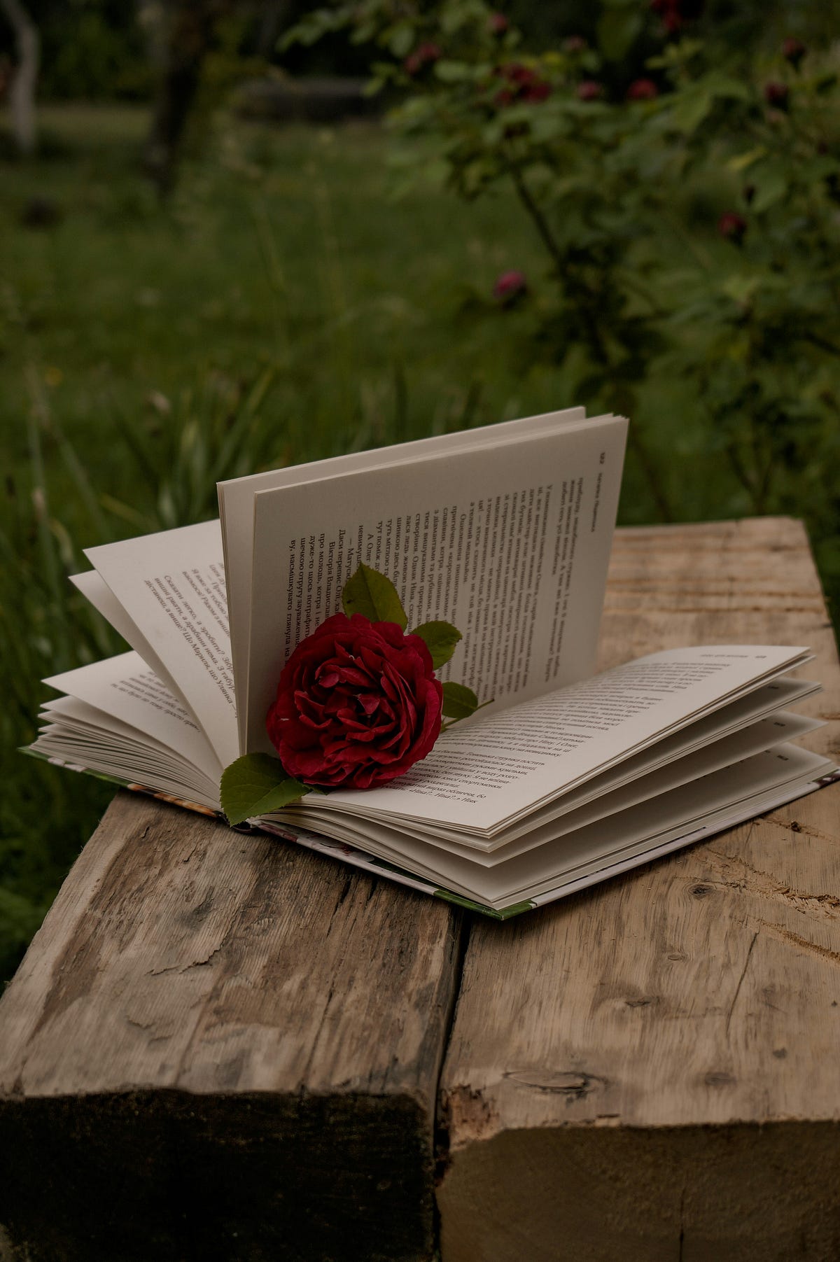 Love Note To Poetry. A love poem to a literary form I adore | by Words ...