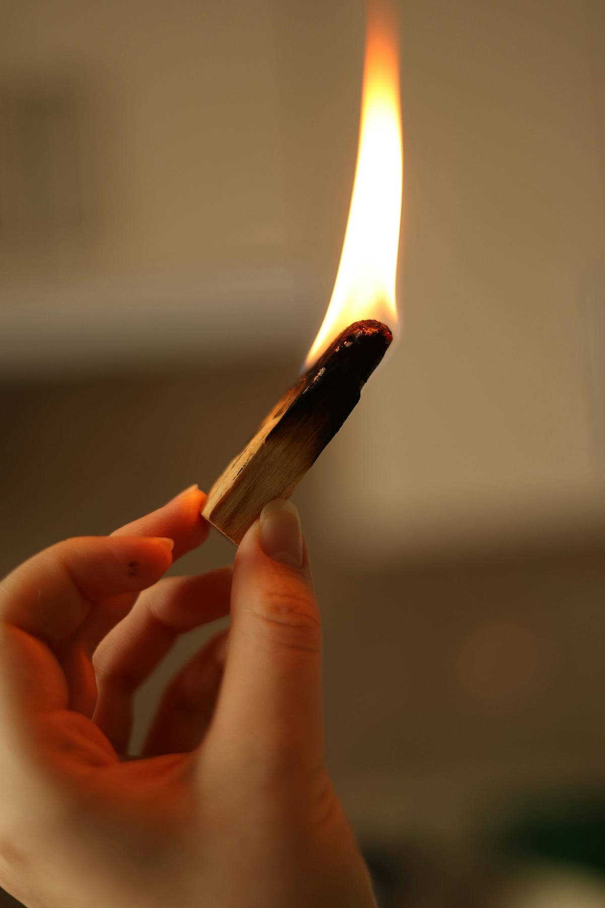 The "Spark" Is Not Chemistry. It Is Your Nervous System Recognizing ...