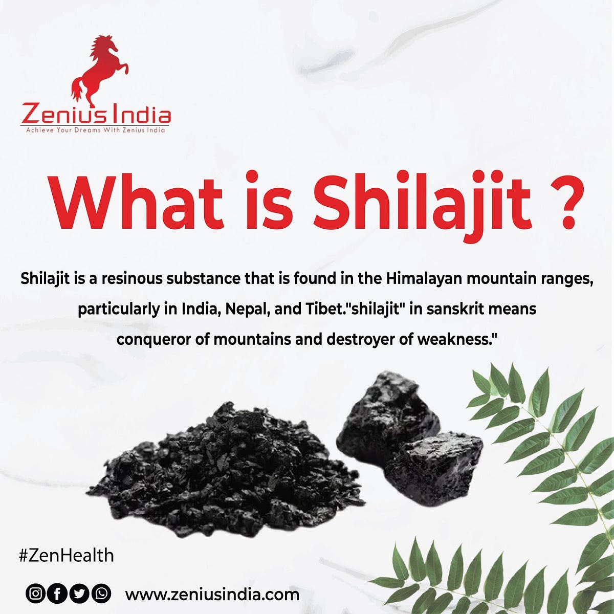 Unveiling the Power of Pure Himalayan Shilajit: 5 Benefits You Can’t ...