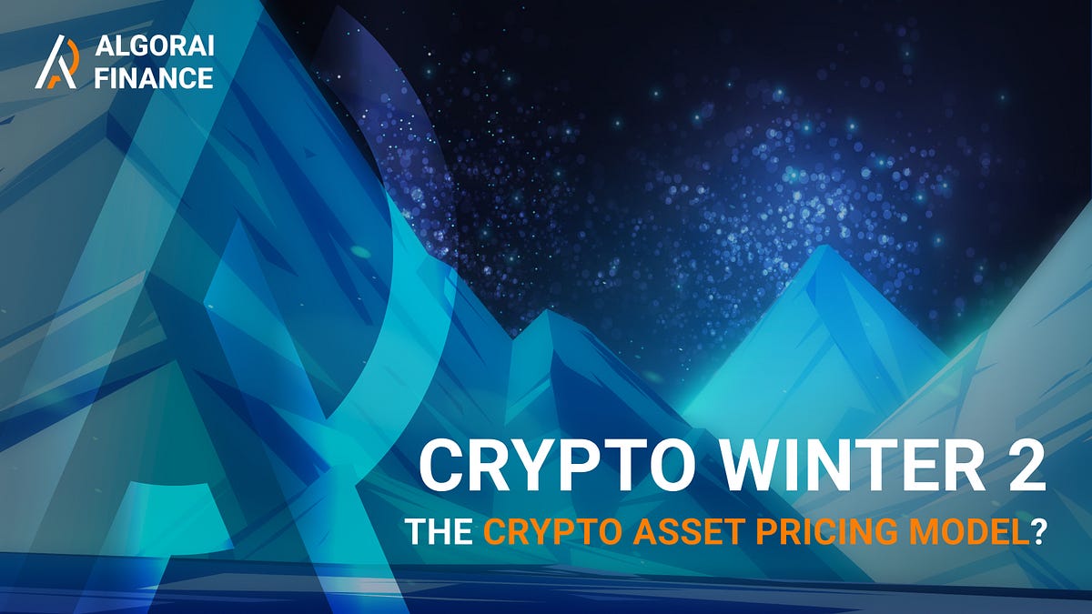 Crypto Winter 2.0 and the “CAPM” — Crypto Asset Pricing Model? | by ...