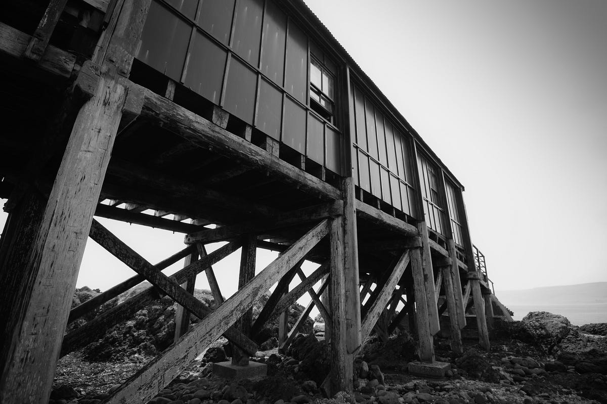 Killer. A short story | by Alfred Mead | The Lark | Medium