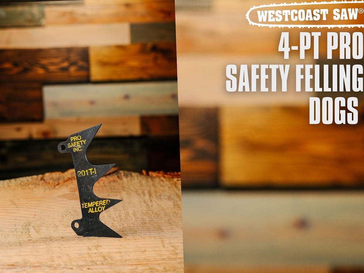 WHAT DO THE FALLING MARKS (BUMPER SPIKES) ON A CHAINSAW MEAN? | by ...