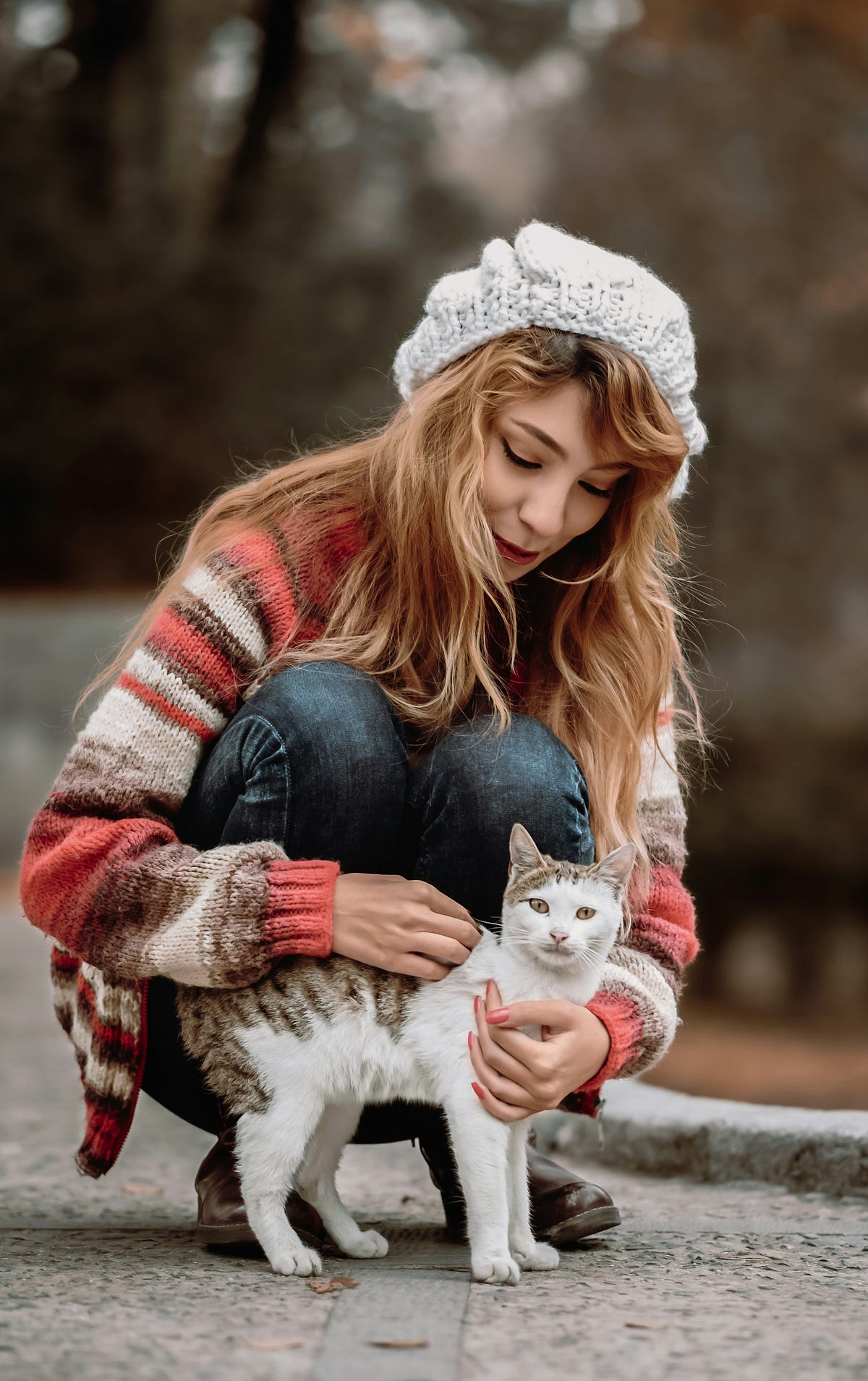 The Nine Lives of the Childless Cat Lady Live on | by Deborah Camp ...