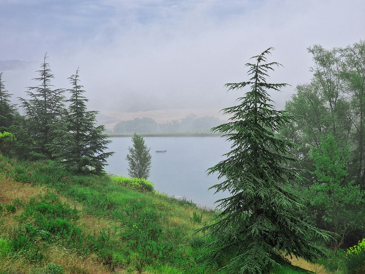 Caesar In Gaul — Part 14 | by Abhilash | Medium | Medium