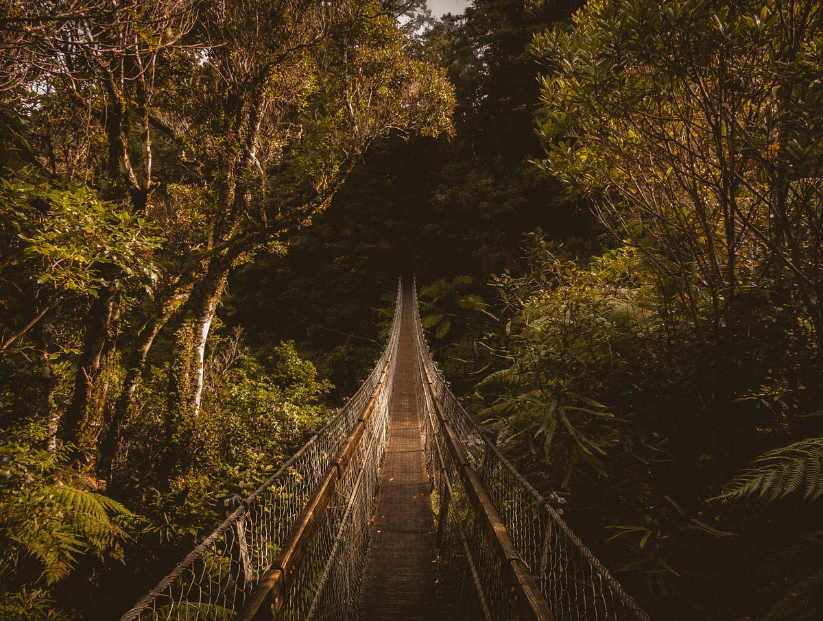 Narrow Path Full of Gems. A winding path, that stretches far and… | by ...