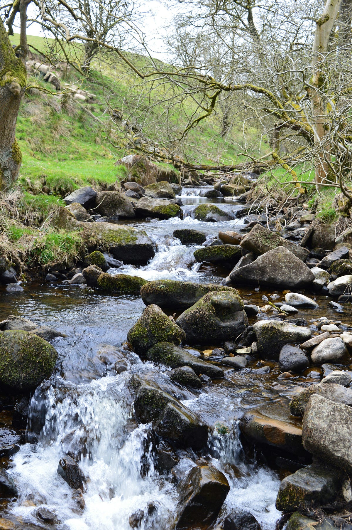 Cry Me a River. We could use the water | by Paula Shablo | Fiction ...
