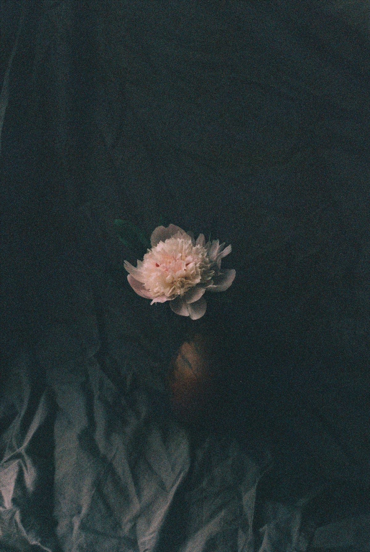 Arcano VII. O movimento encaminha-se a… | by Lucas Pimentel | Projeto C ...