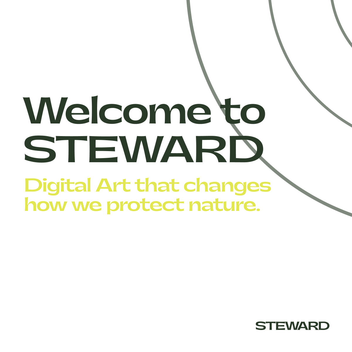 WHAT IS A STEWARD? - Steward Eco - Medium