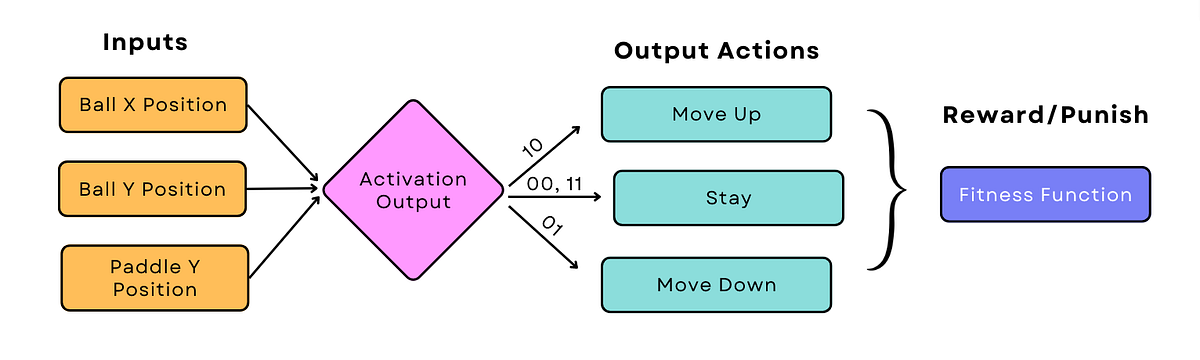 Training AI to Play Pong using NEAT | by Jhanvi Girish | Medium