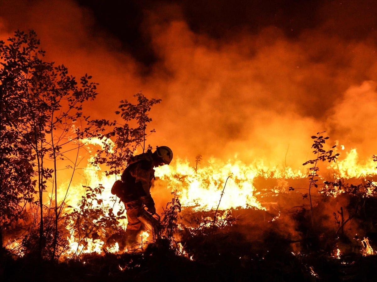 Why are there so few fires in France this summer, despite the heatwave ...