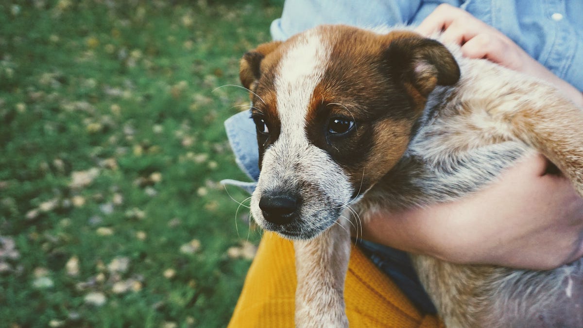 JavaScript Best Practice — New Constructs and Functions | by John Au-Yeung | Level Up Coding