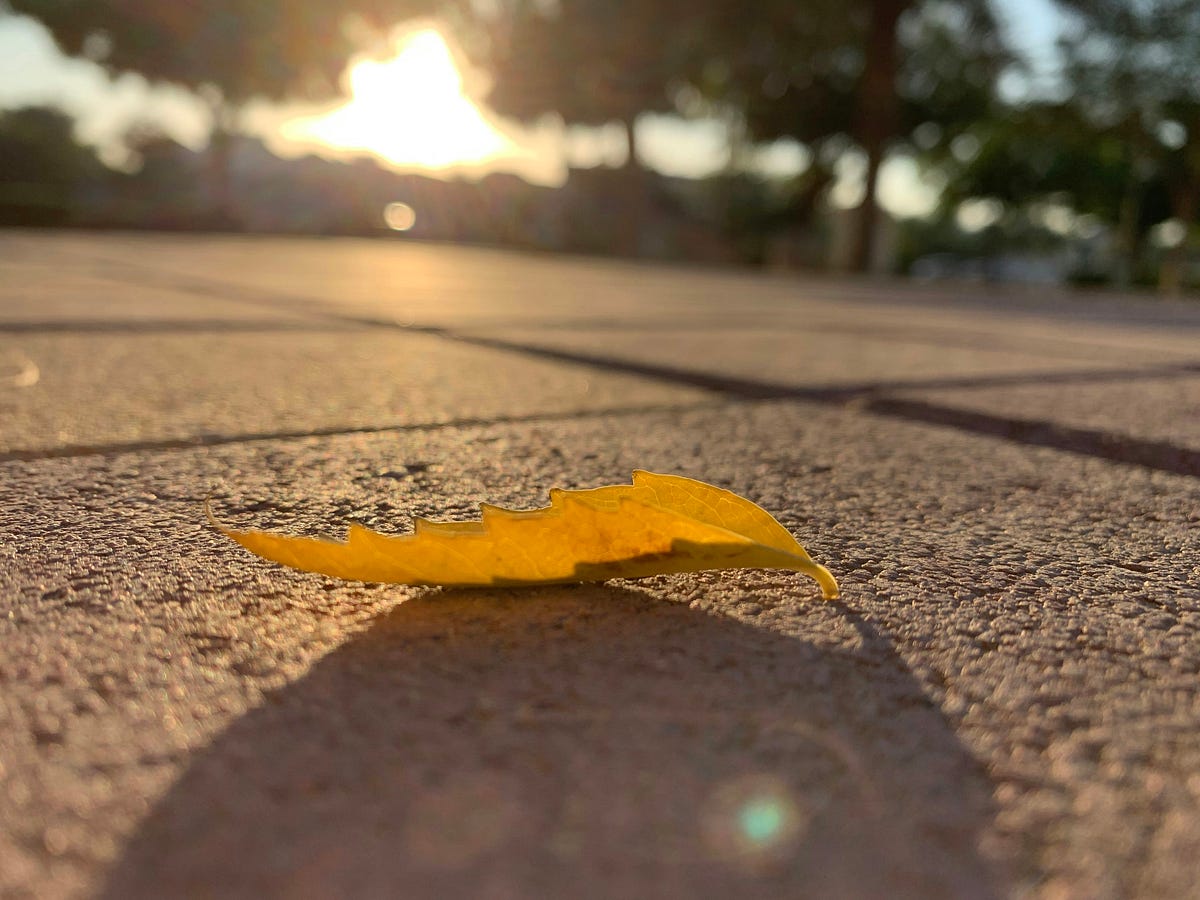 The Weight of the Days Falling, Getting Up, and Moving Forward | by ...
