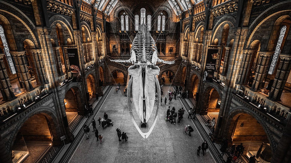 The Joy of London Museums. Exploring free to enter museums makes… | by ...