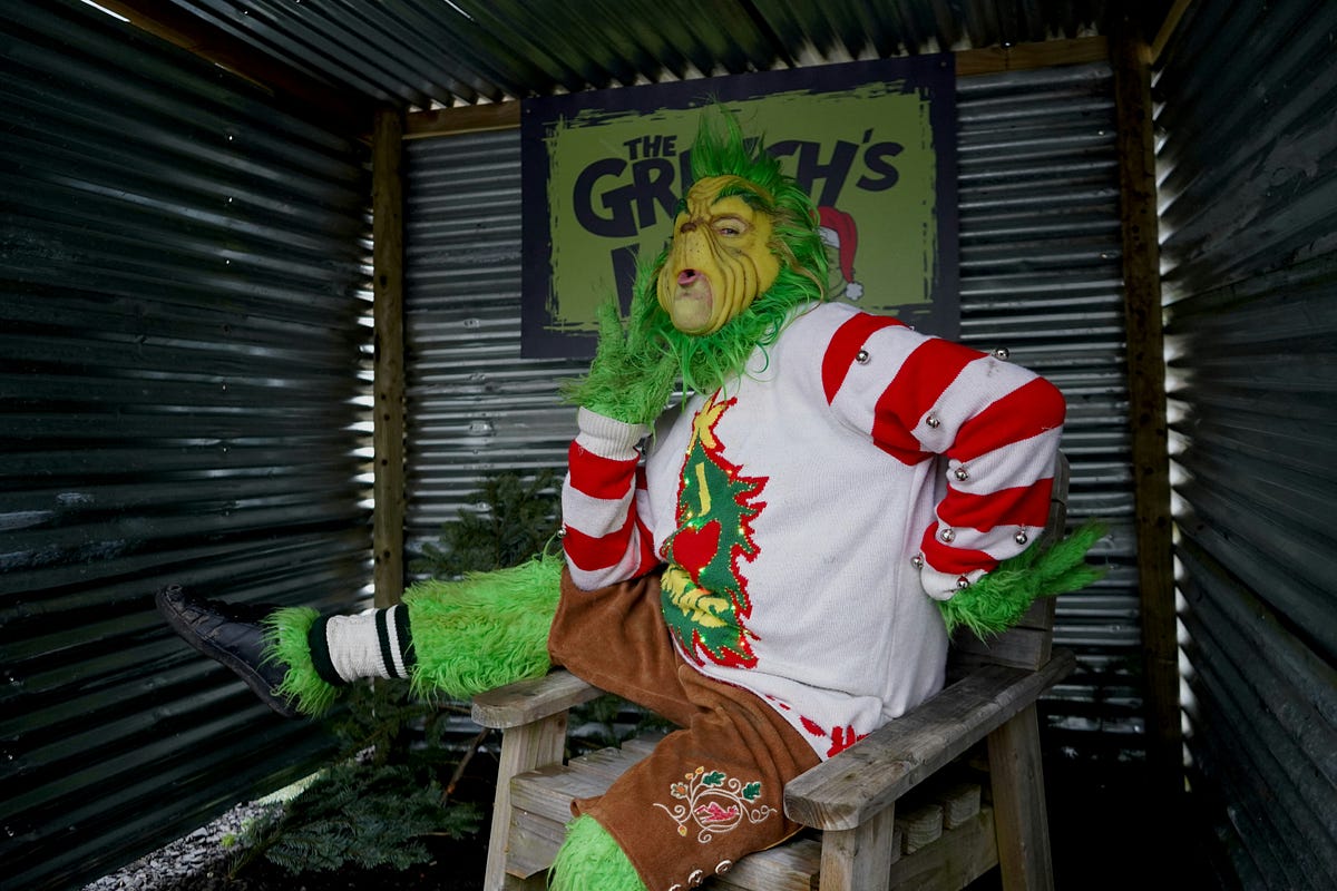 More Than a Christmas Tale: What the Grinch Taught Me About Being Human ...