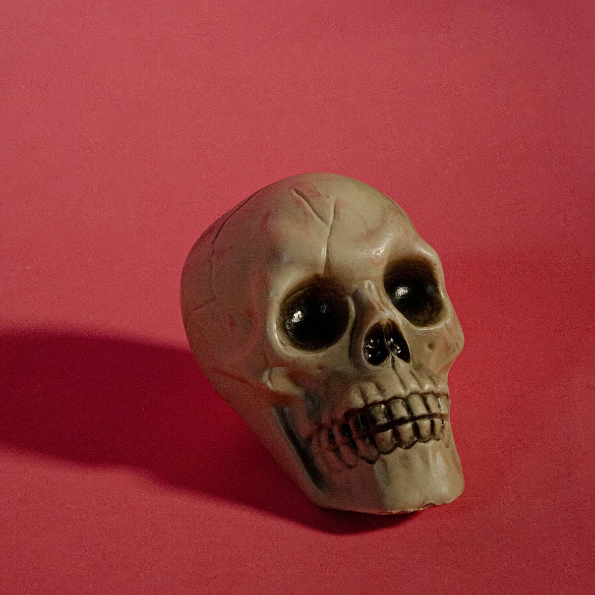 Why Do Humans Die? A Look at Life’s Most Certain Truth | by Sidharth ...