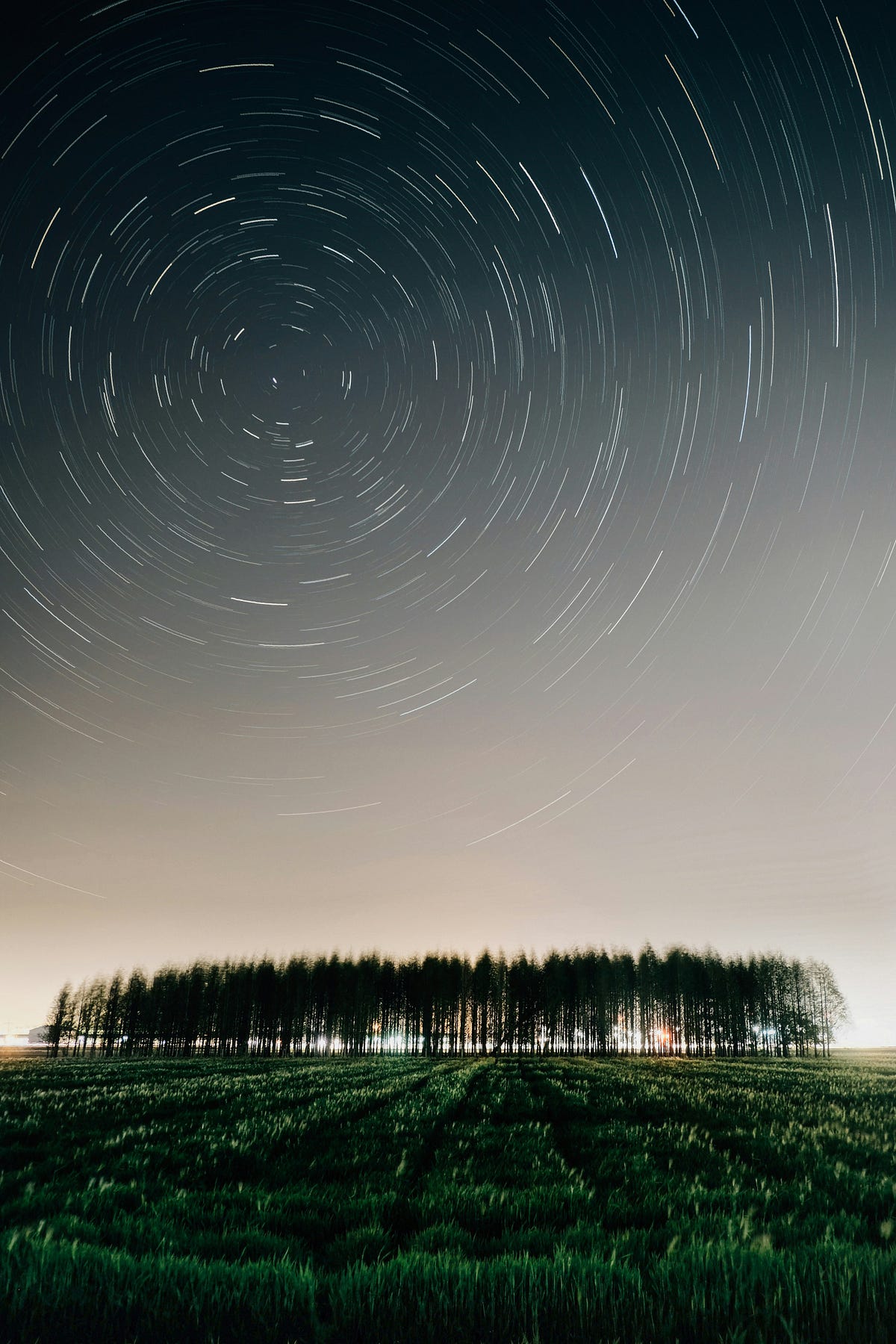 Time and How It Seems. Fast and slow phases | by Giulietta Passarelli ...