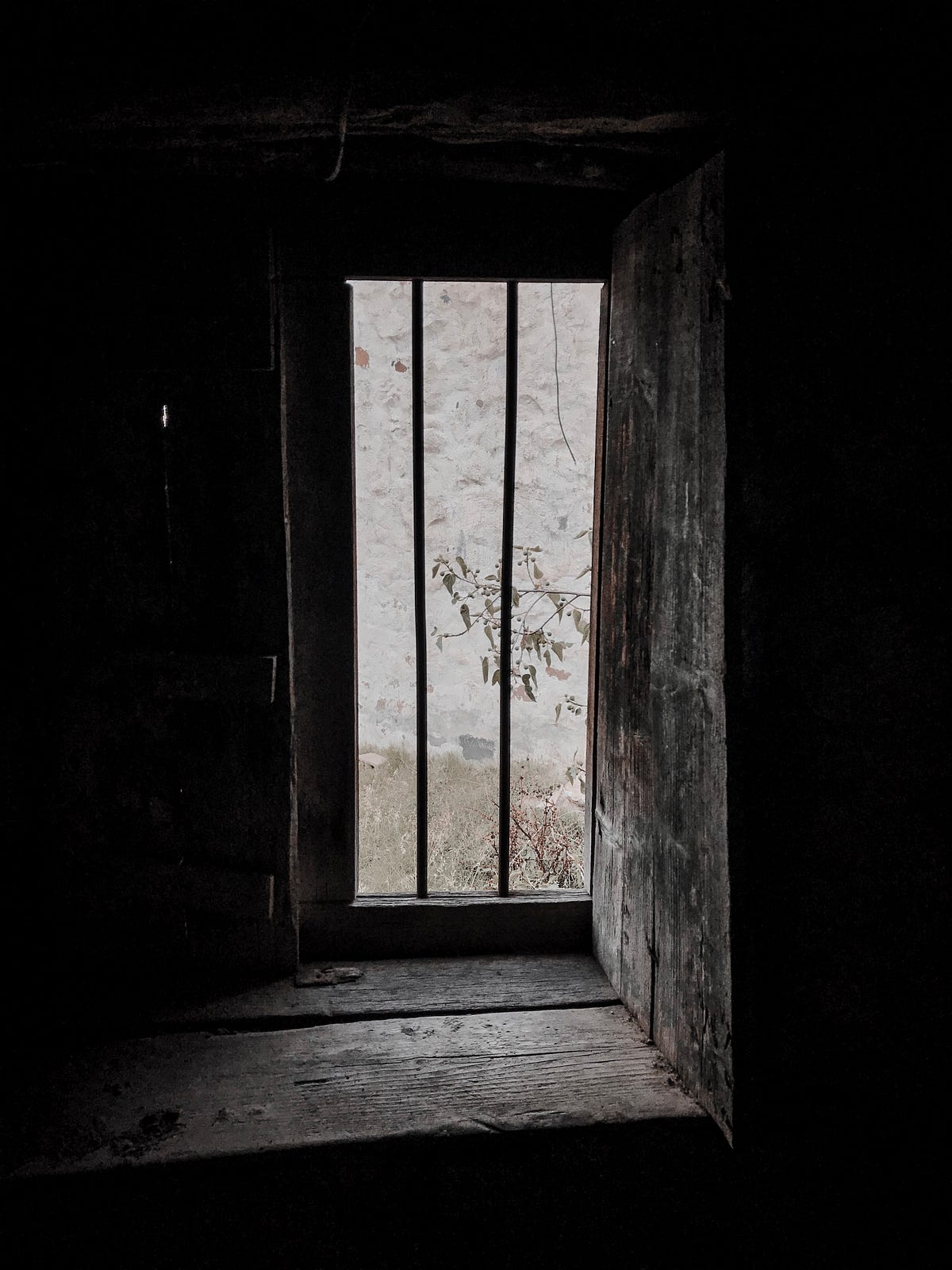 Institutionalize the Institutions | by T. Mark Mangum | The Bad ...