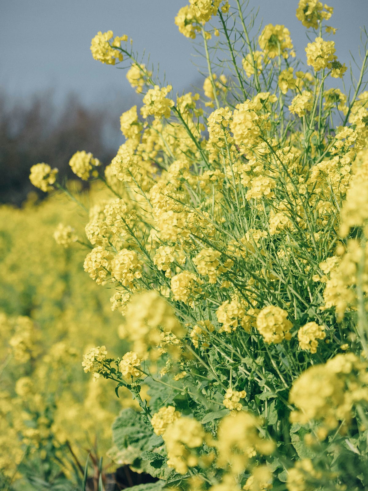 Bye Bye, February. Until we meet again | by Arya James | Feb, 2025 | Medium