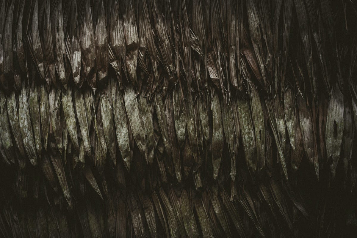 Raja Botak Explained: Origins, Uses, and How It Became a Viral Keyword ...