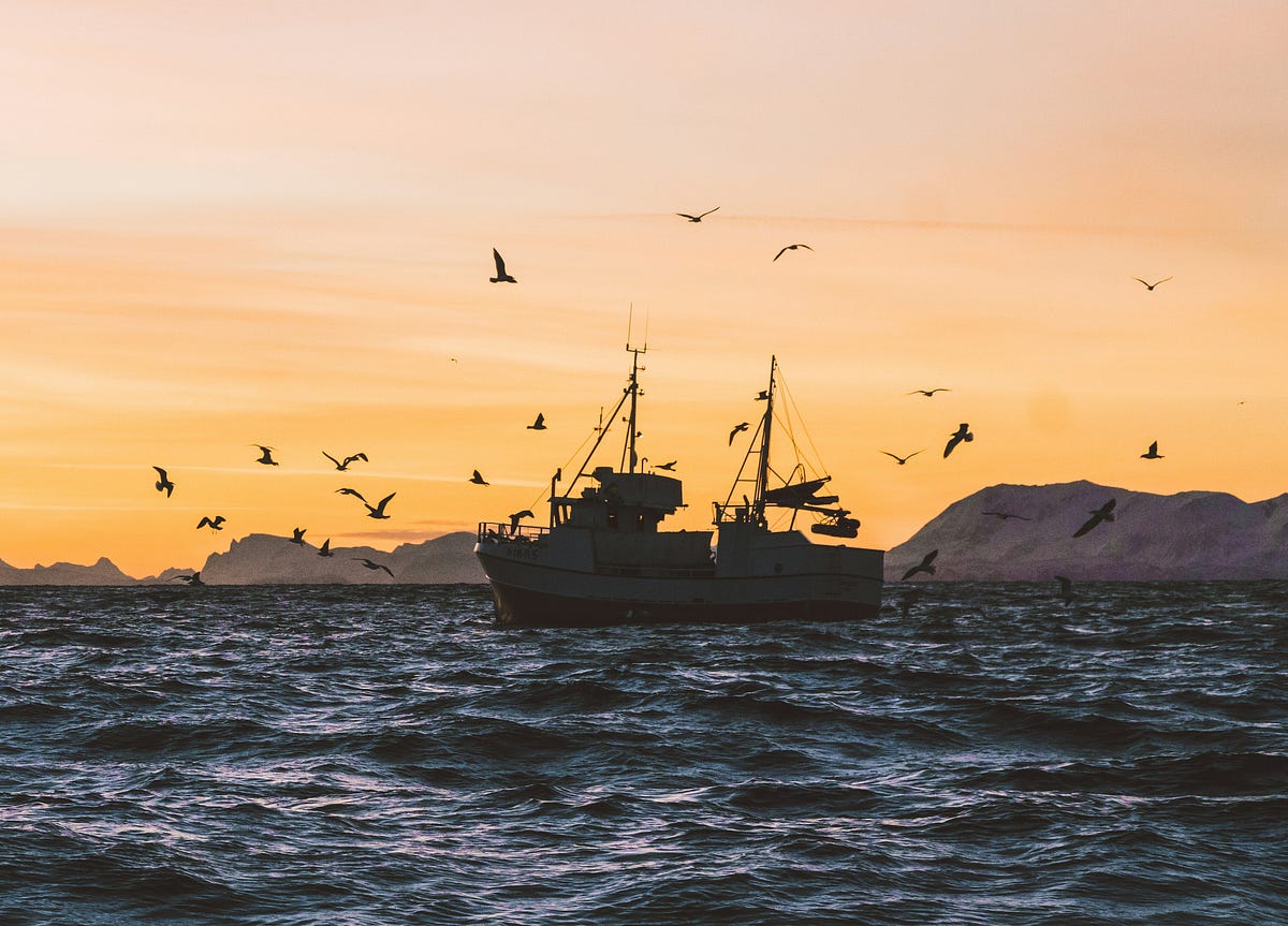 They Left Their Nets: Why Jesus’ Choice of Disciples Still Shocks Us ...