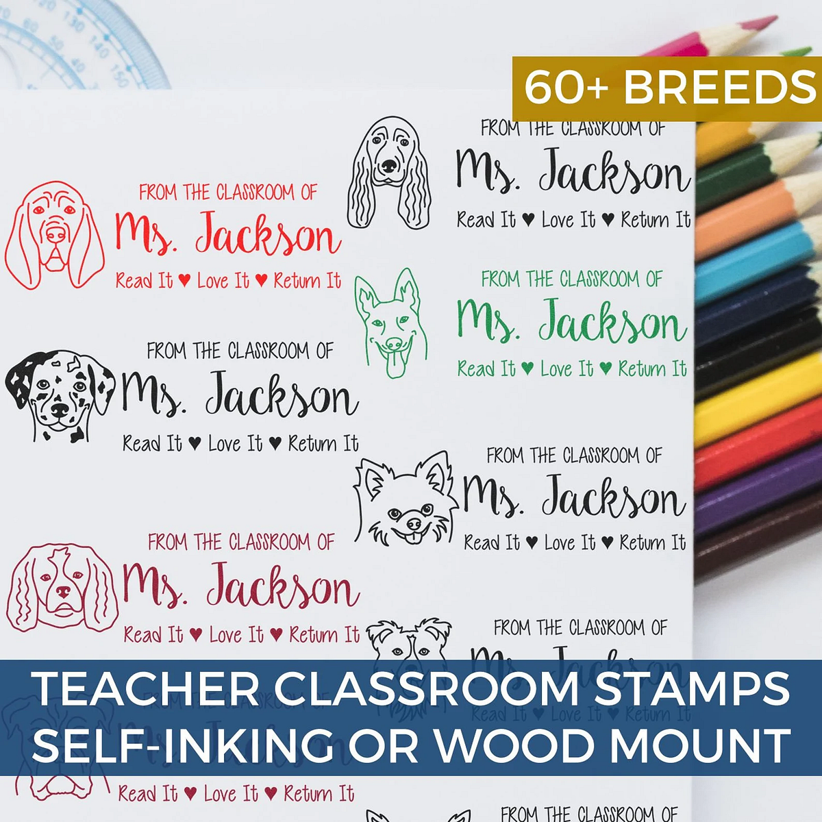 Make Grading Fun with a Custom Dog Teacher Stamp! | by Acorn Sales ...