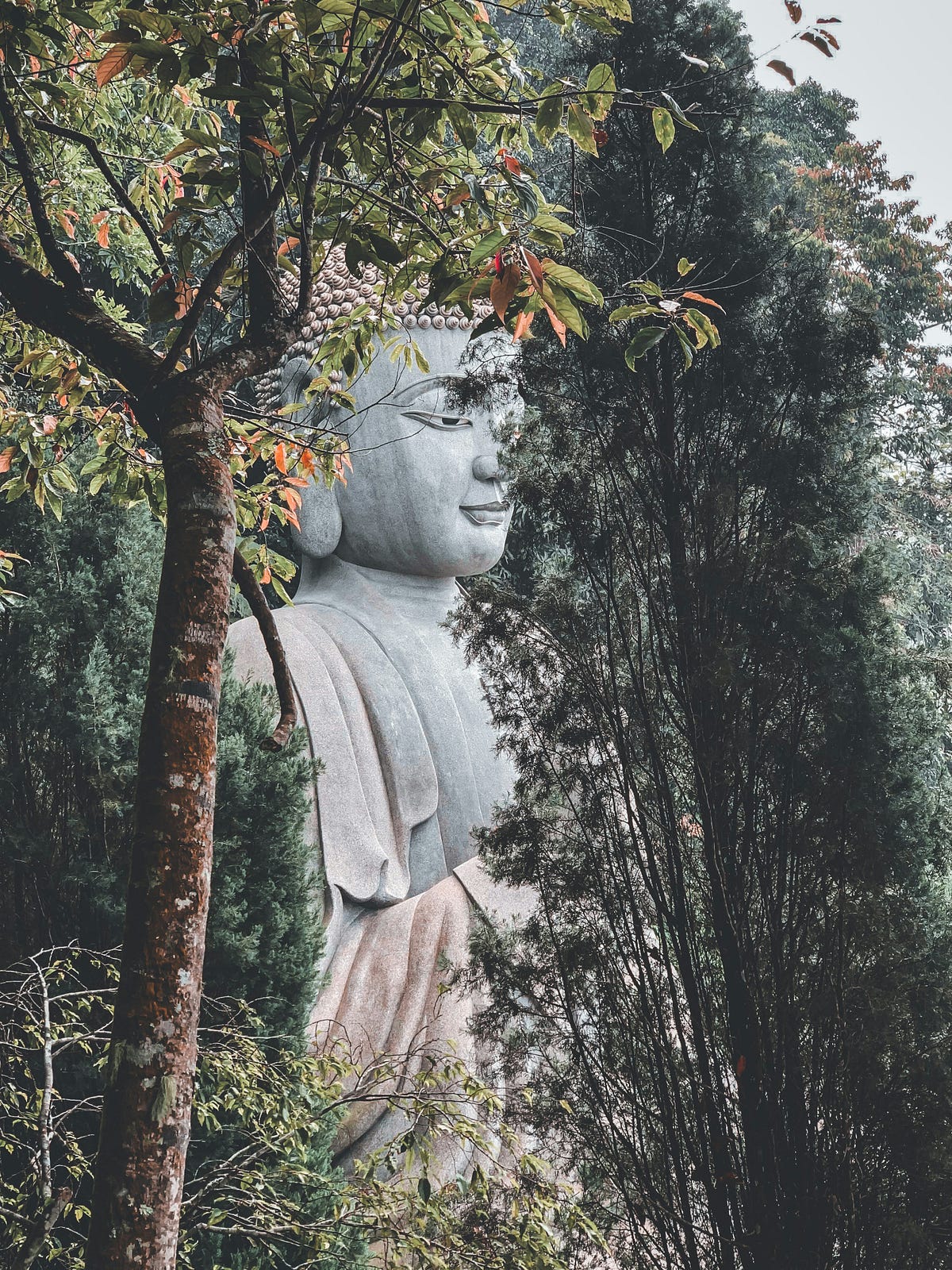 Buddha in a Toga: The Greek Influence on Buddhism in Afghanistan | by ...