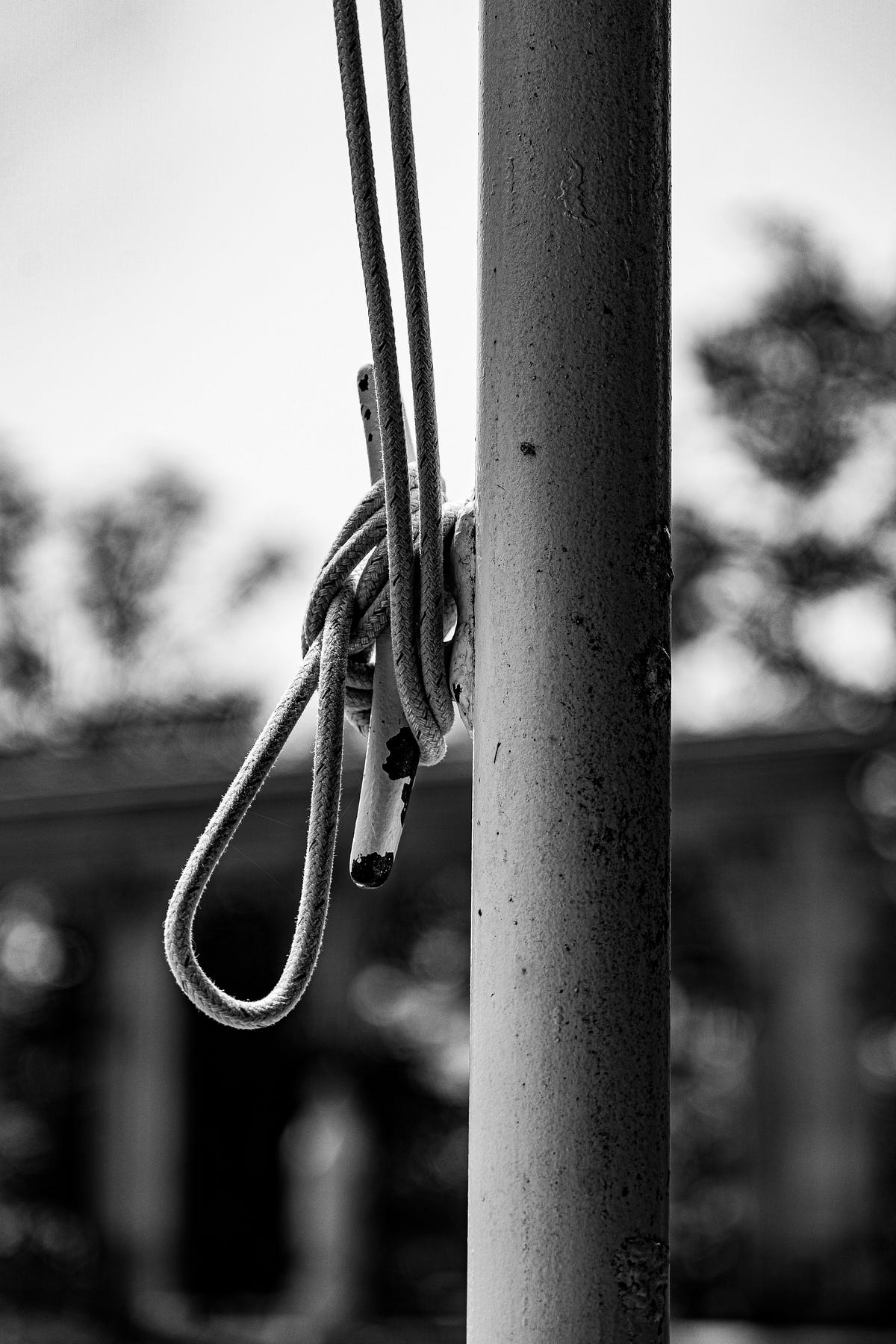 35 Executions Carried Out in 2025, Nine Remaining | by Criminal Matters ...